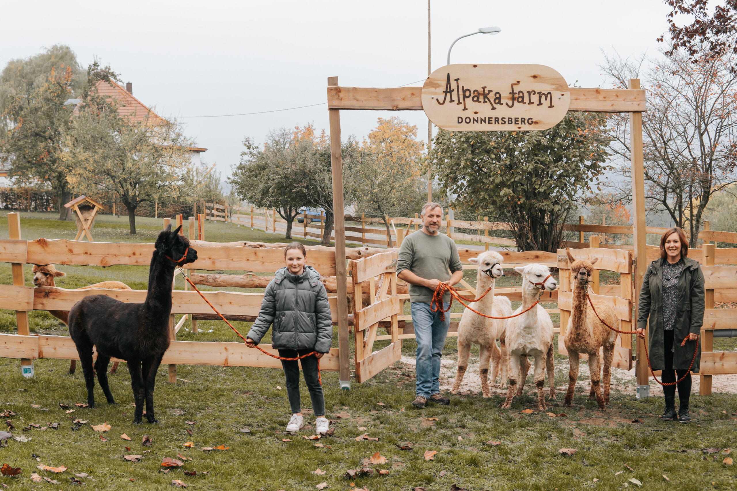 Alpaka Farm Donnersberg – Einfach Glücklich Wandern!